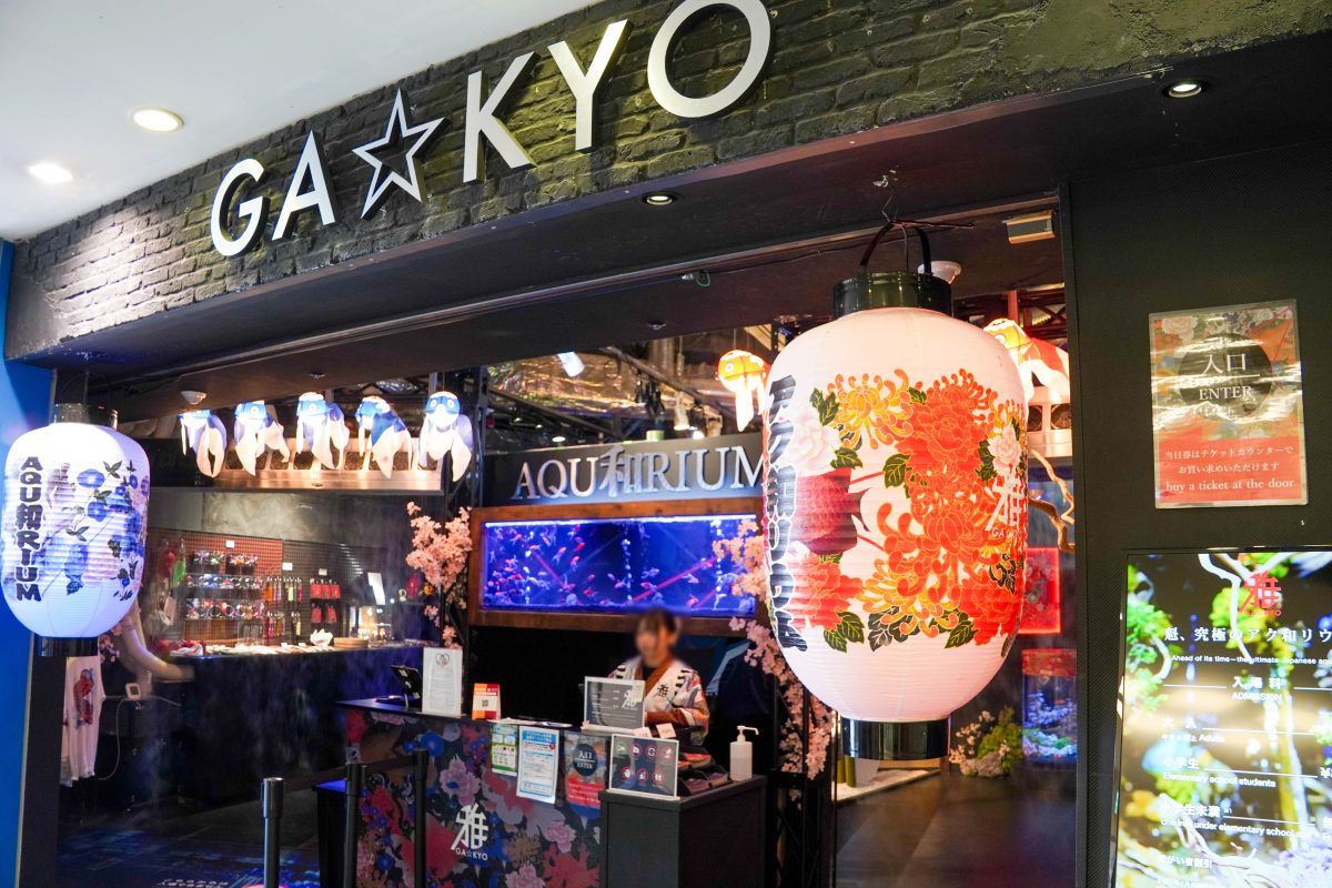 【お台場】アートアク和リウムGA☆KYOはお台場にあるインスタ映え間違いなしのスポット！ - まれまれアクアリウム