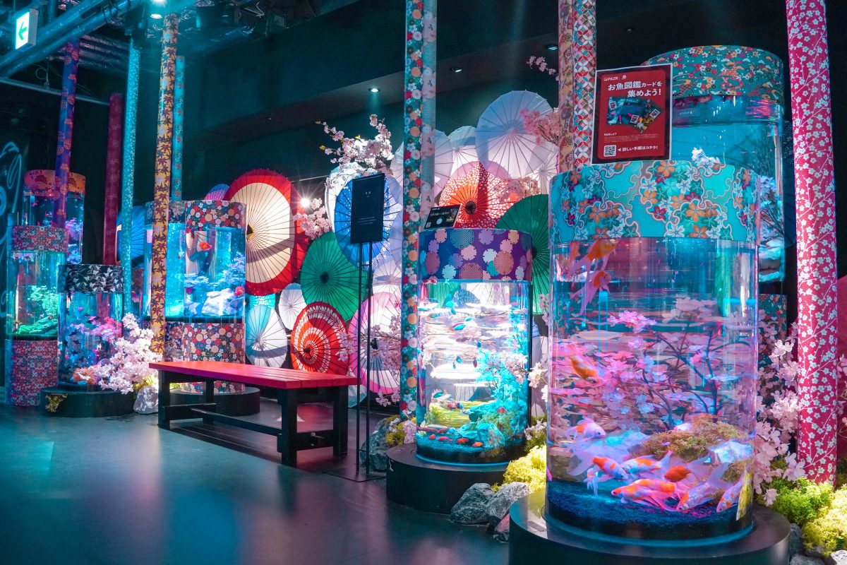 【お台場】アートアク和リウムGA☆KYOはお台場にあるインスタ映え間違いなしのスポット！ - まれまれアクアリウム